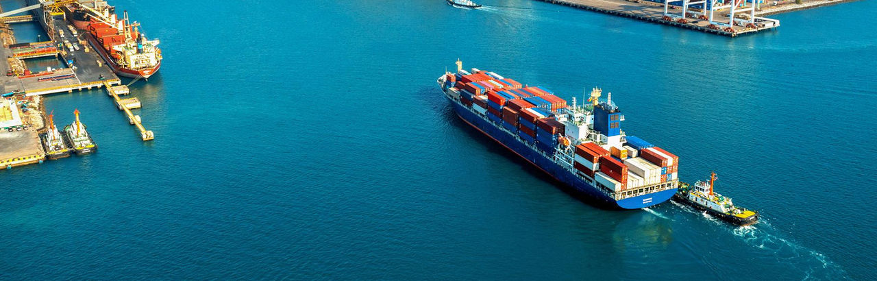 Large Bore Engine | Tenneco